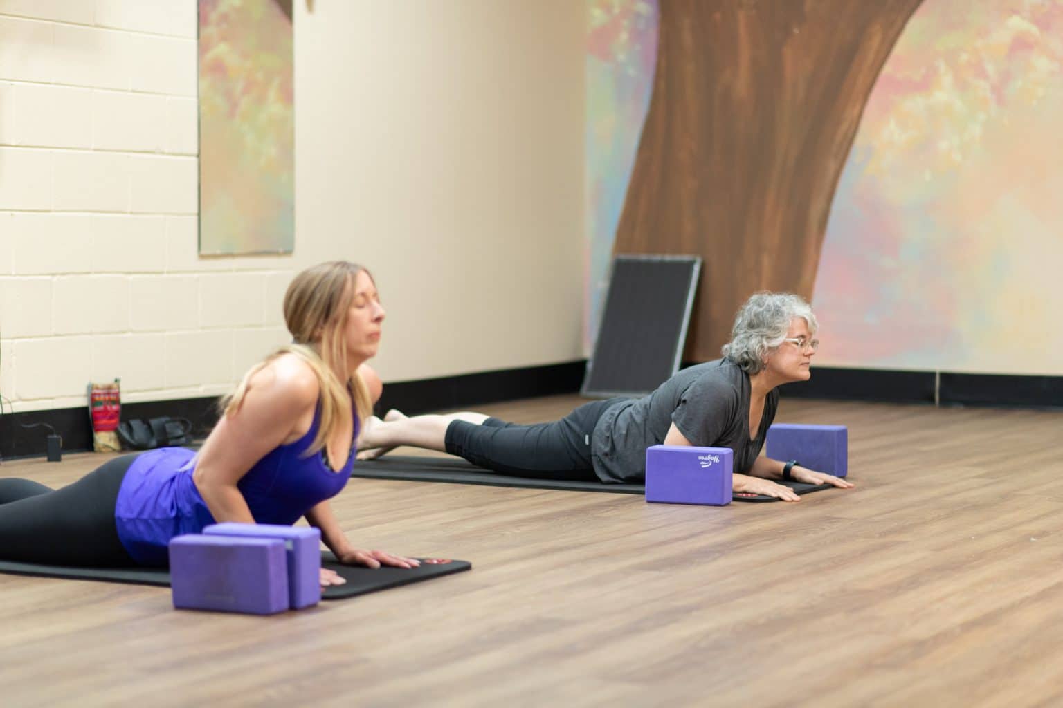 Active Older Adults Programs | YMCA of Greater Montgomery